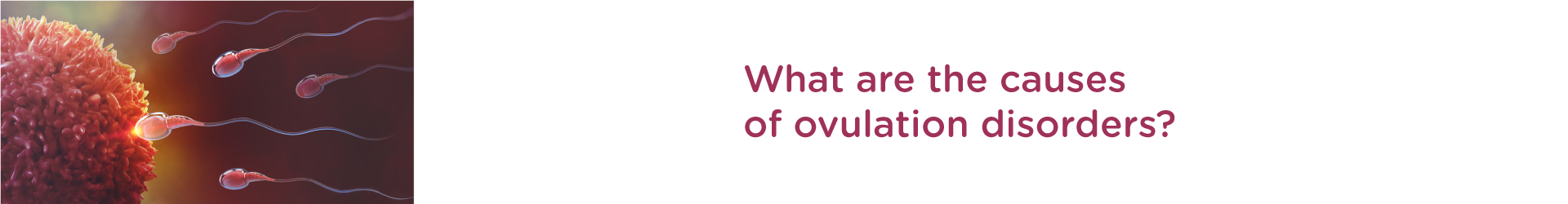 Ovulation Disorders Treatment in Amritsar | #1 Star Hospital